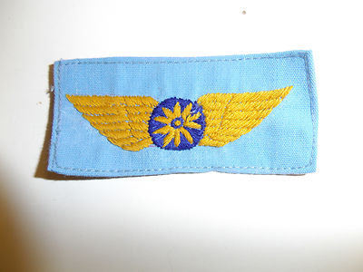 b3909 WW2 US Army Air Force cloth AVG Chinese Pilot Wing Flying Tigers ...
