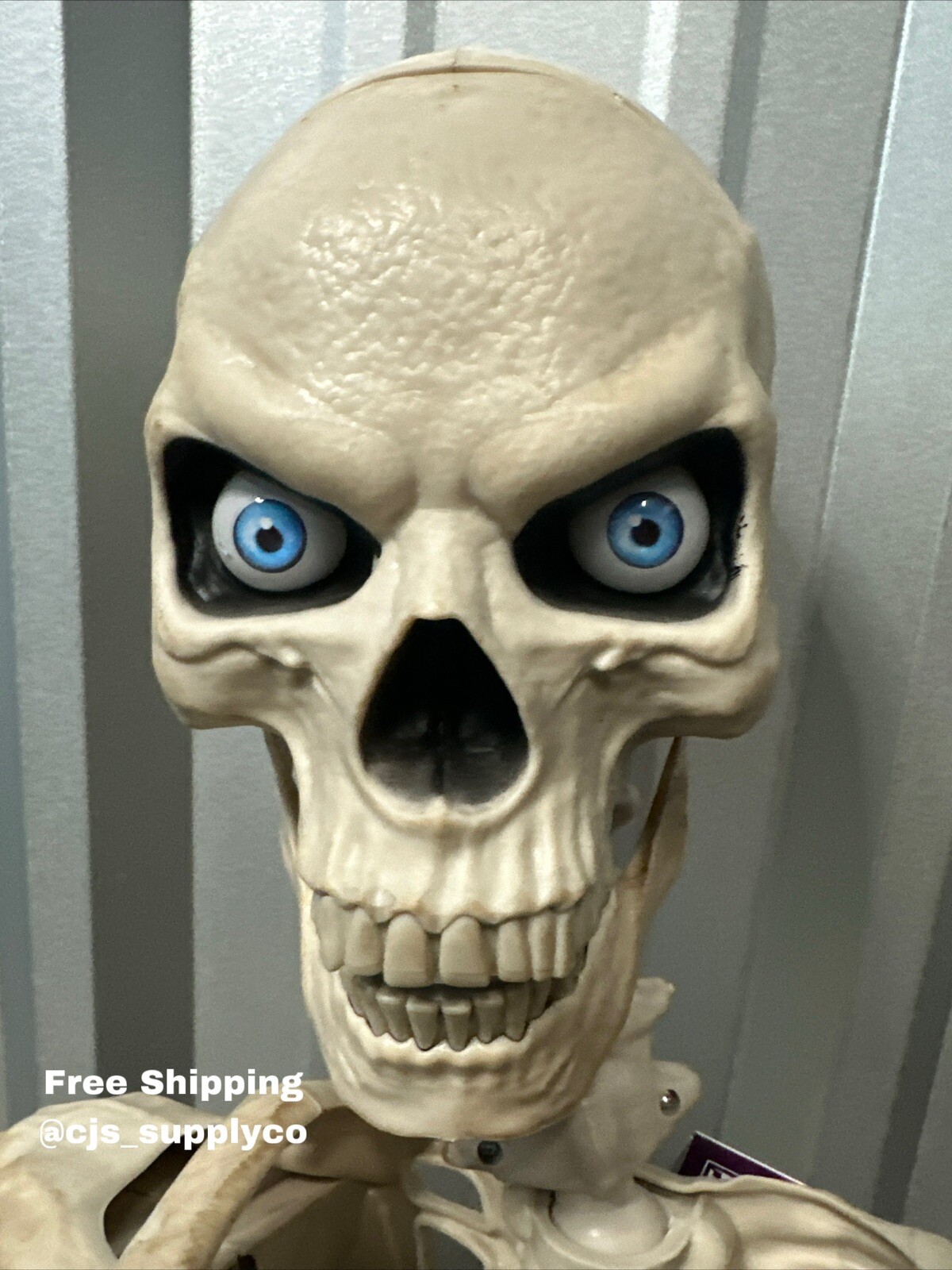 5 Foot ft ULTRA POSEABLE Skeleton LED Home Depot Halloween Decoration ...