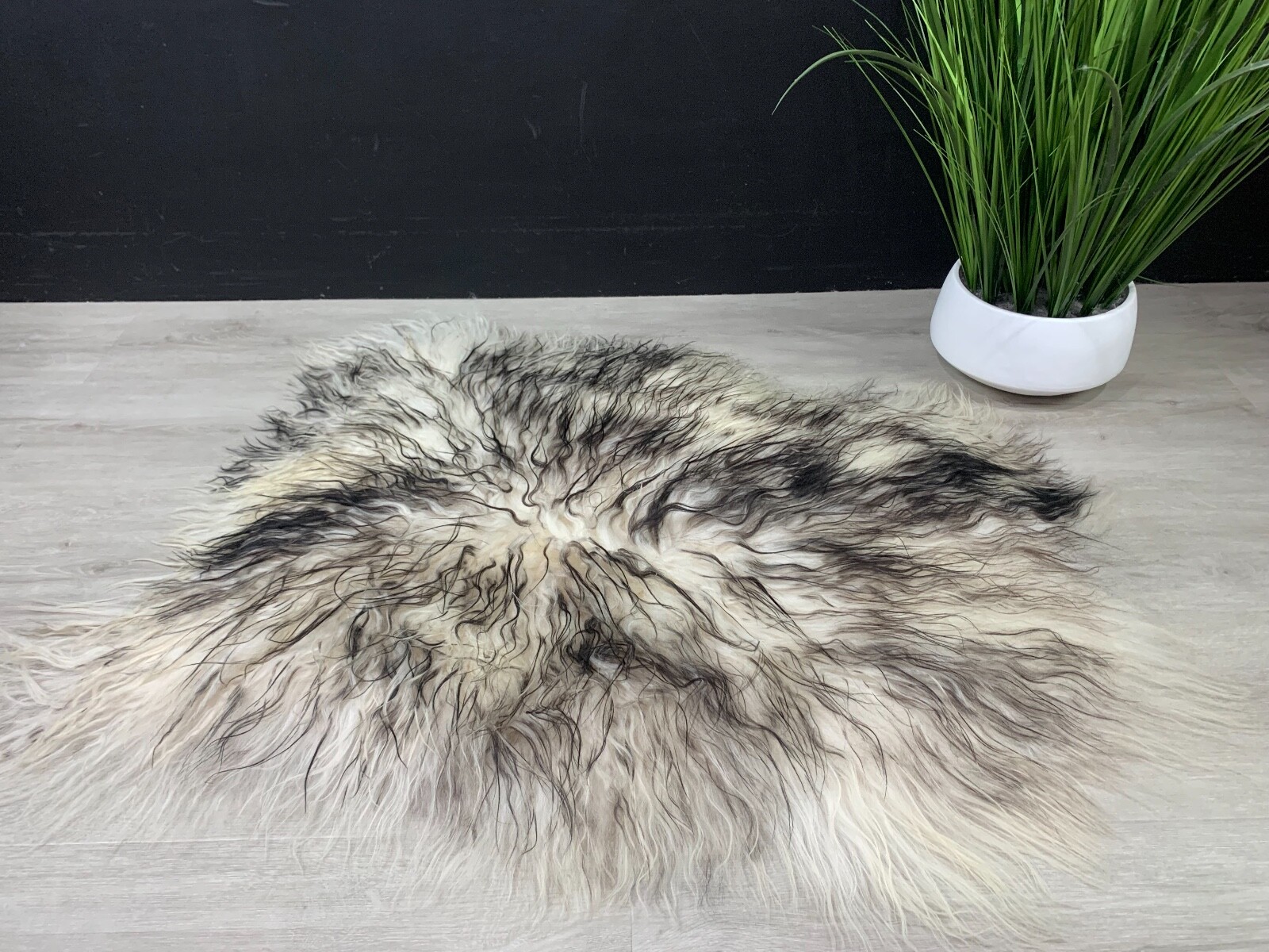 Icelandic Curly Mouflon Black Pelt Throw Blanket Hide Genuine Sheepskin ...