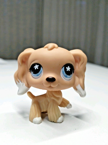 🐾Littlest Pet Shop (LPS) #568 Australian Exclusive Cocker Spaniel 🐾 | eBay