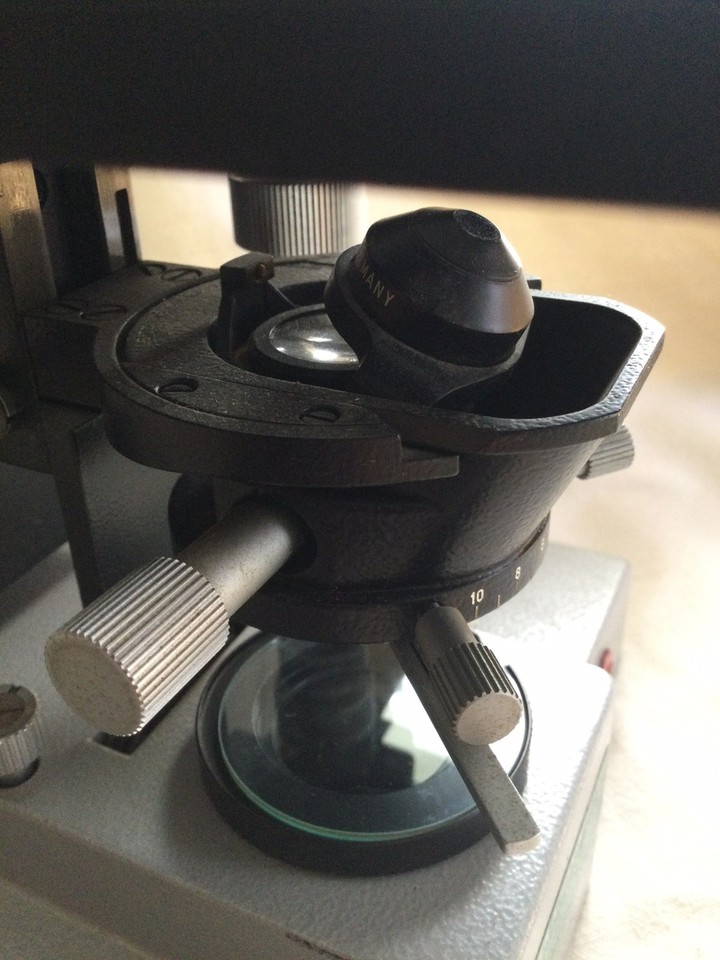 Leitz Wetzlar (Ortholux II) Microscope w/ 4 Objectives - no light/power ...