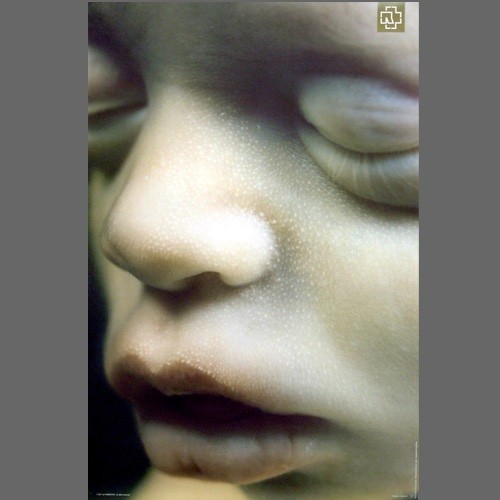 RAMMSTEIN - Mutter - 61x91,5cm - Affiche / Poster | eBay