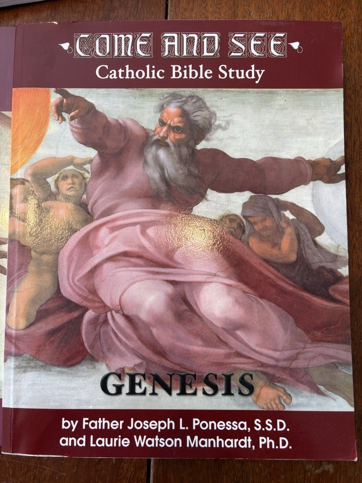 Come and See: Genesis (Come and See Catholic Bible Study) by Fr. Joseph ...