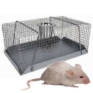 MULTI CATCH LIVE MOUSE TRAP SMALL Galvanised Mesh Wire Indoor Outdoor ...