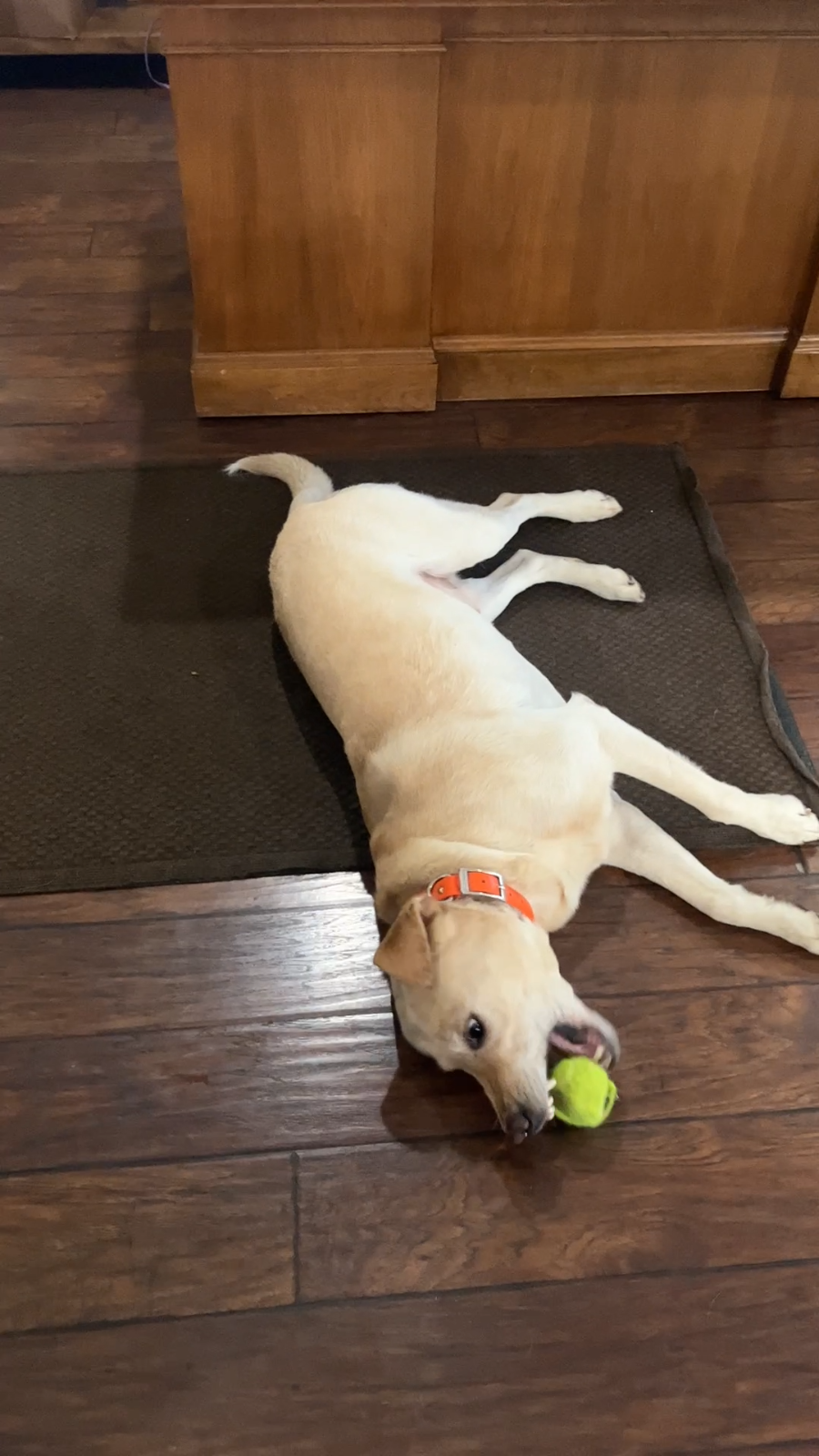 Juniper MX2020-PREMIUM2-DC 80Tbps Router | eBay