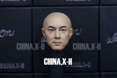 1/6 Male Head Sculpt Carving Model Dicky Cheung Figure for 12" Action ...