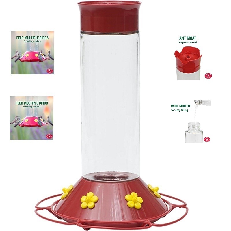 Best Glass Hummingbird Feeder 30 oz with Perches Built-In Ant Moat Bee ...
