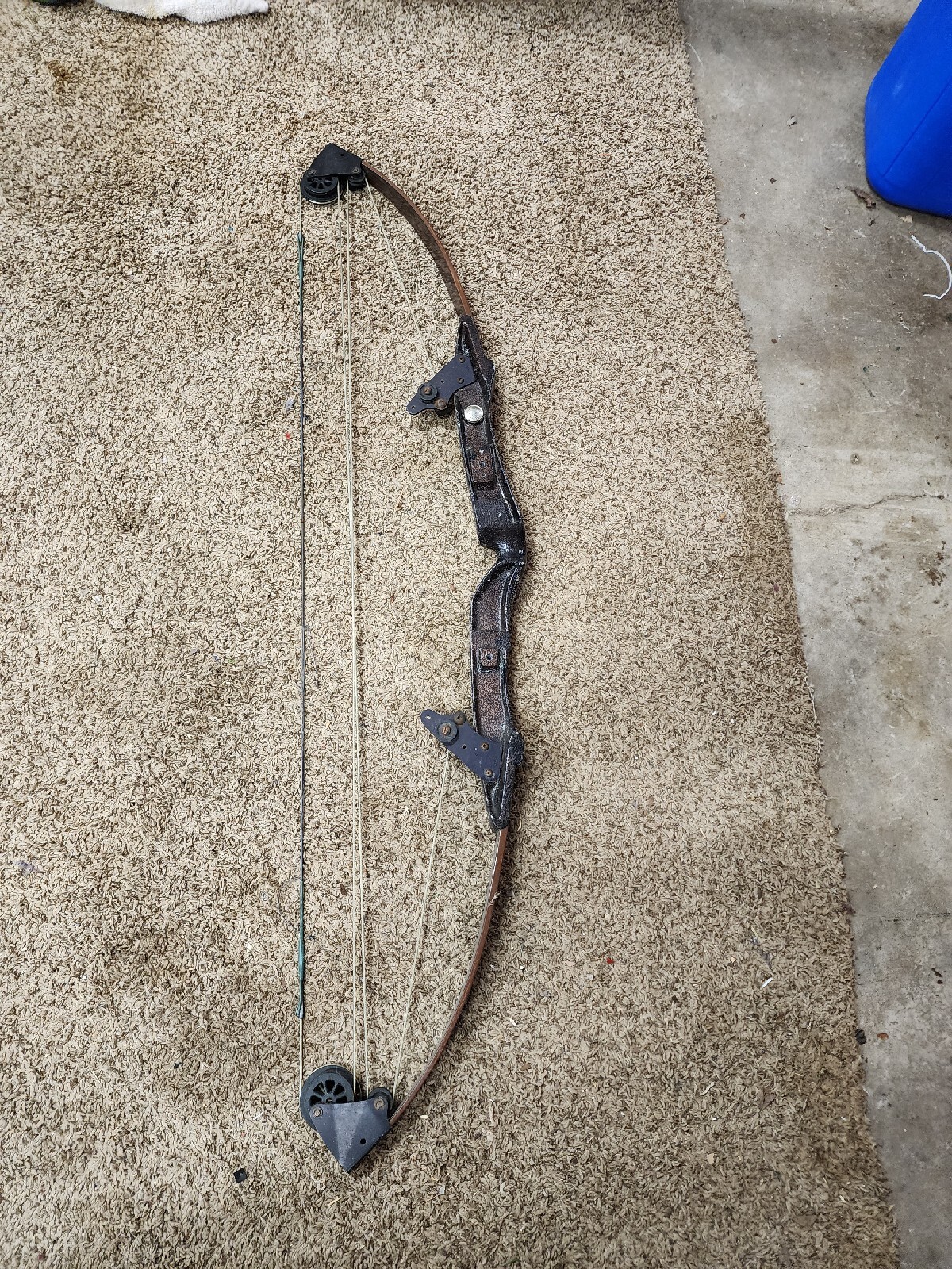 Bear Whitetail Hunter Compound Bow | eBay