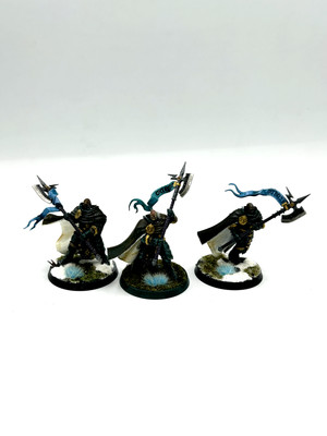 Praetors STORMCAST ETERNALS WARHAMMER AOS | eBay