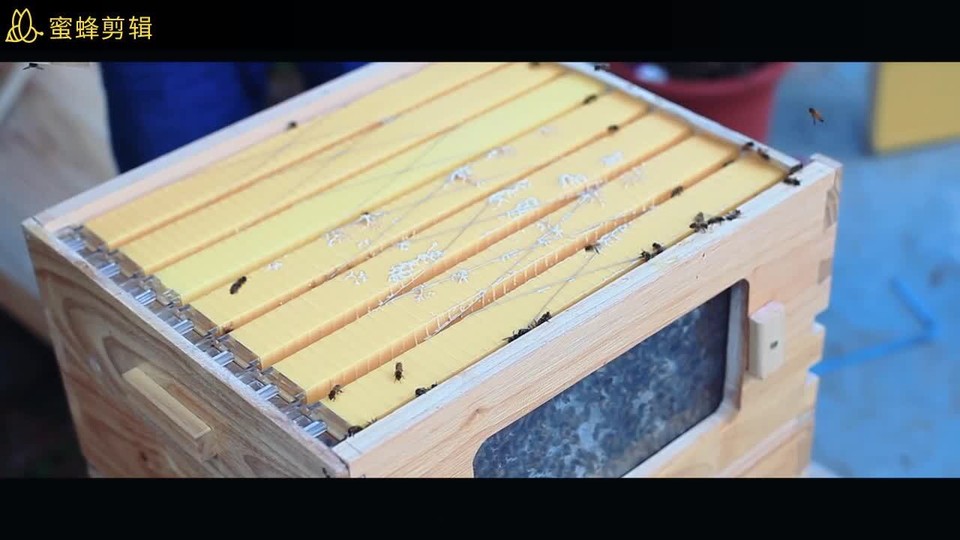 Auto Seep Honey Hive Beehive House 7 Auto Beehive Frame Comb Bee Hive ...