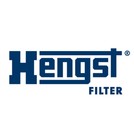 Set of 2 BMW Hengst Engine Oil Filters E61HD215 11427953129 | eBay