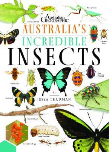 AUS Incredible Insects (HB) by Jessa Thurman [Hardback] NEUF ...