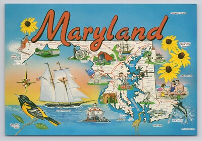 Maryland Old Line State Map View Postcard | eBay