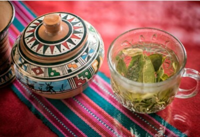 Peruvian Menta Muna - Mint Tea from Peru- 100 BAGS | eBay