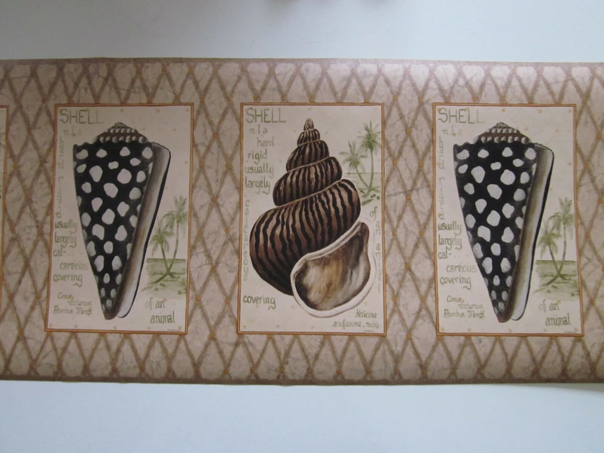 Seashell Wallpaper Border