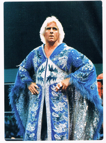 JUMBO 1983 Japanese Menko Cosmos Ric Flair Rookie Wrestling Card Andre ...