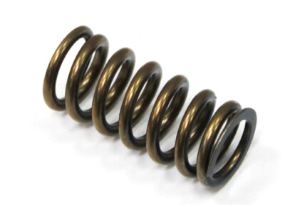Outlaw Racing OR5367 Intake Spring KAWASAKI KX250F 04-06 SUZUKI RMZ250 ...