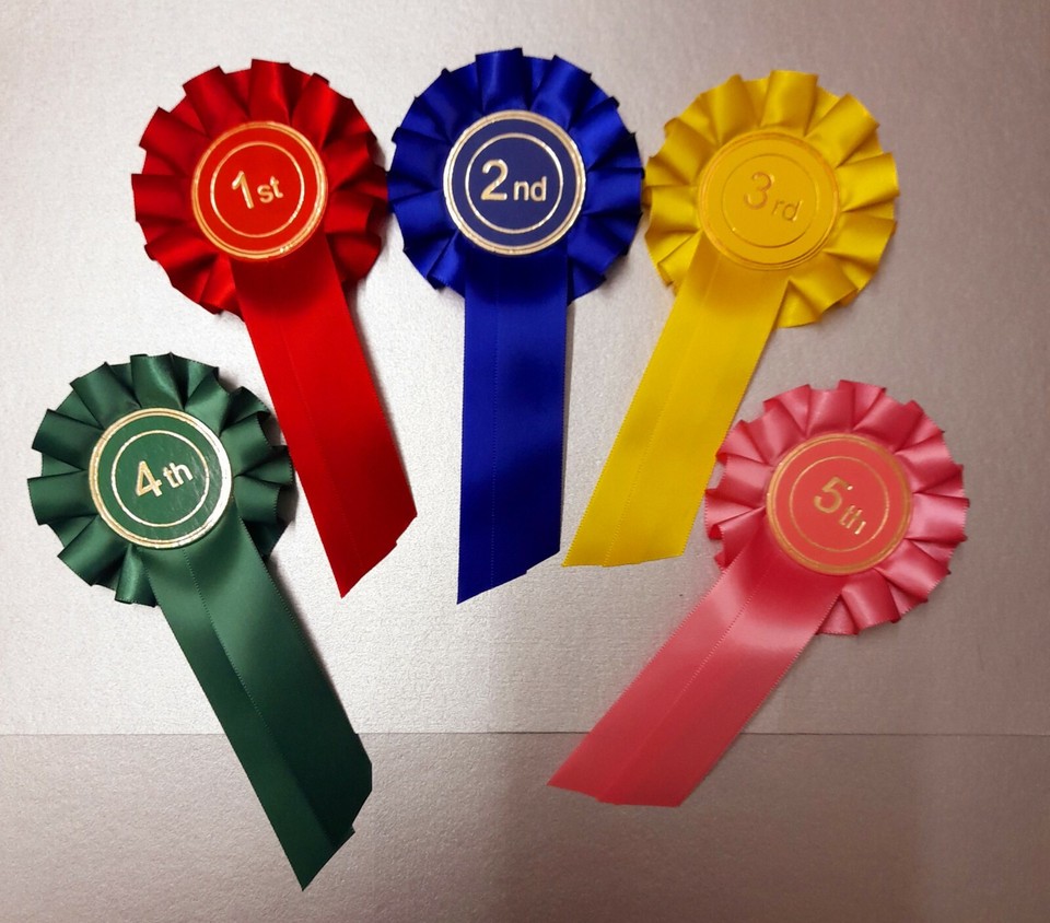 1st To 5th X10 best in show reserve judge steward 54 rosettes dog show ...