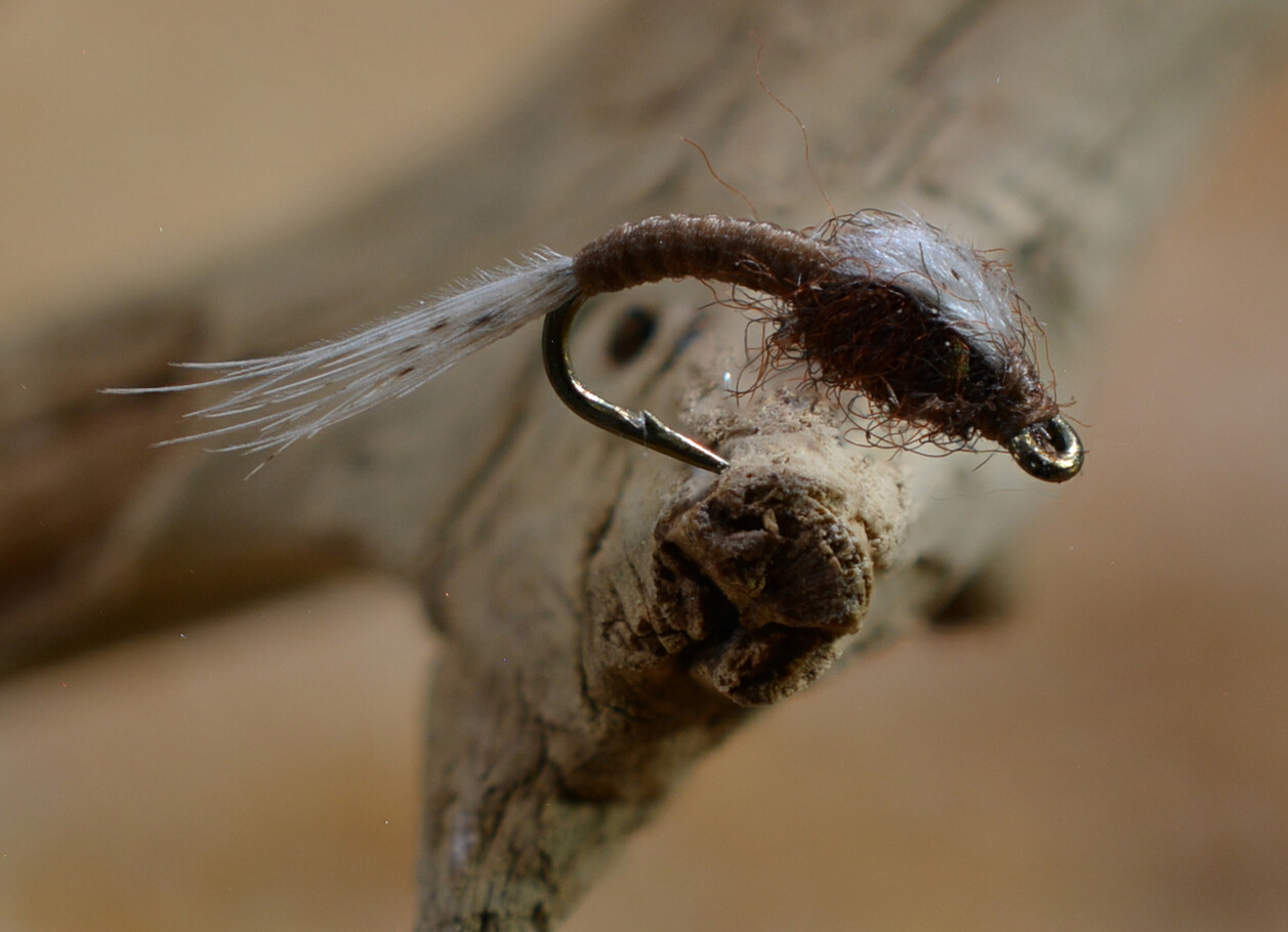 WD40 Chocolate Emerger Midge Nymph Fly - 1 Doz Flies - Mustad Signature ...