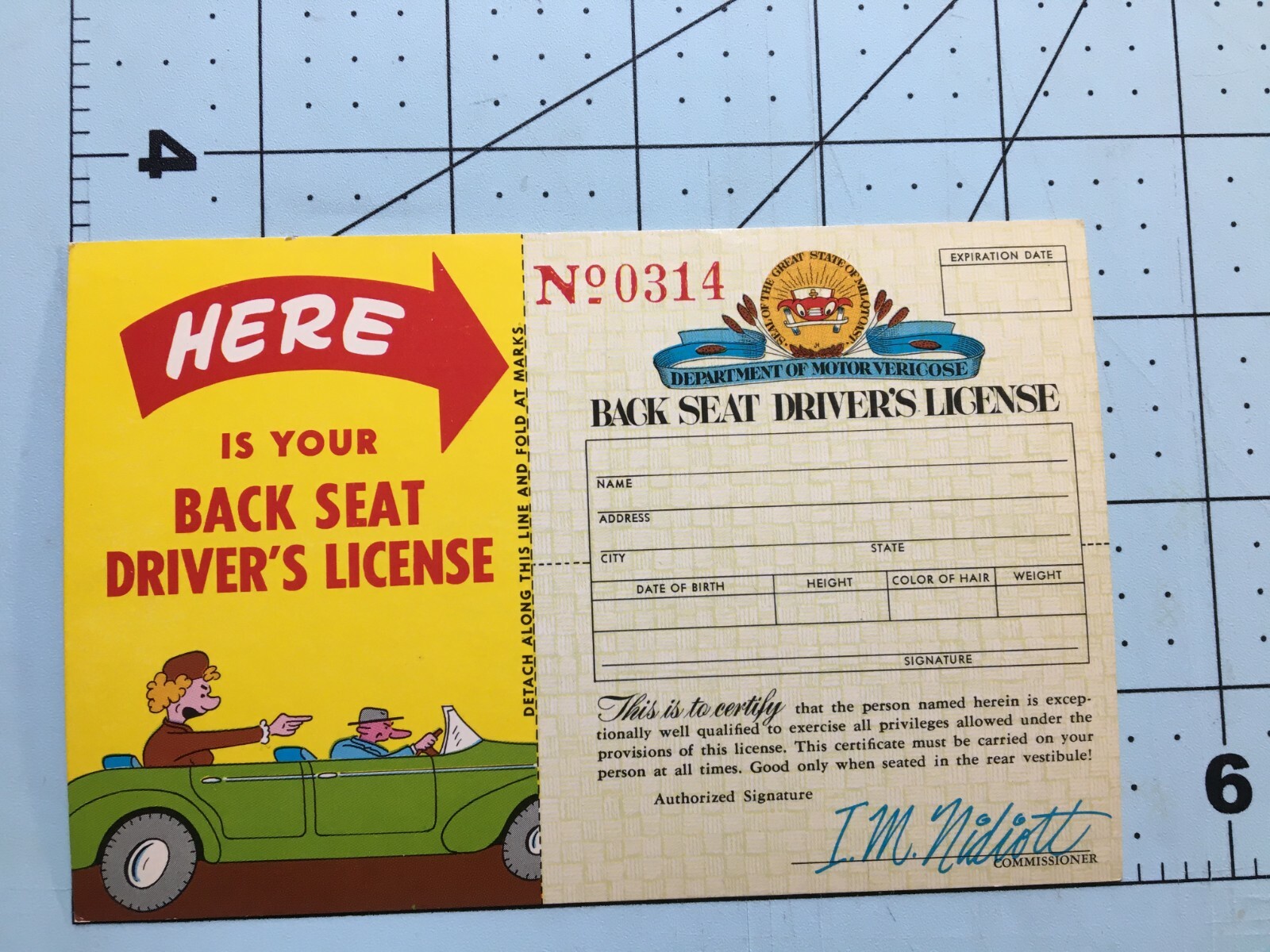 Vintage Comical Postcard - Back Seat Driver's License | eBay