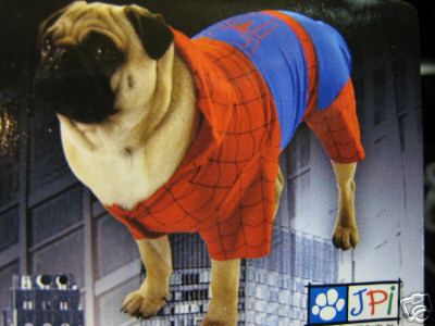 SPIDER-MAN DOG COSTUME M | eBay