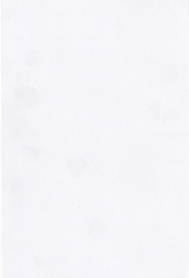 unidentified artist " fenced beauty "- art PIN-UP/CHEESECAKE re-print ...