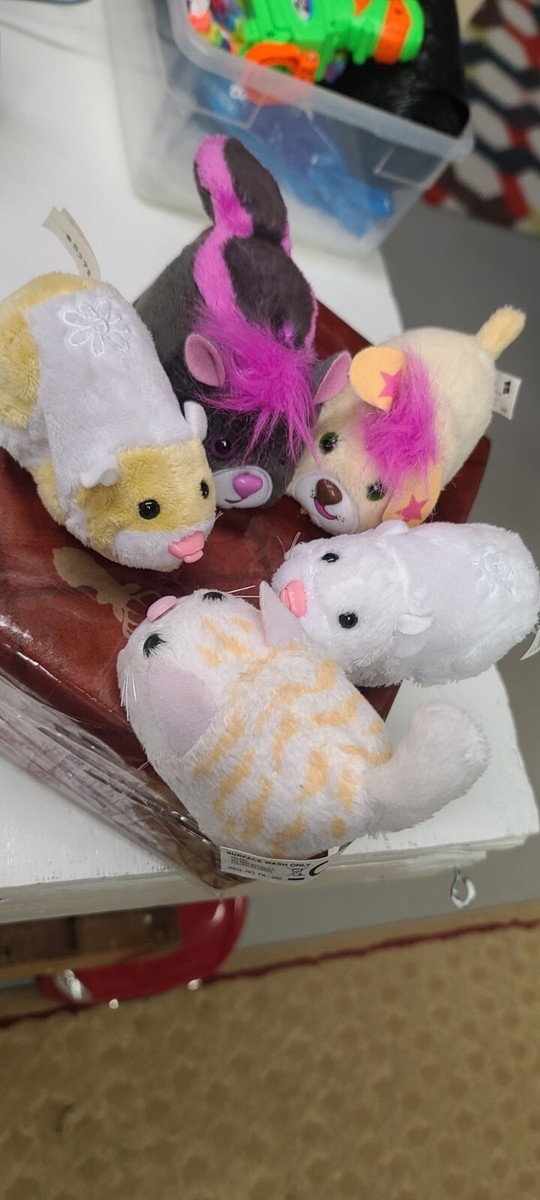 Teach Hamster Fionnuar