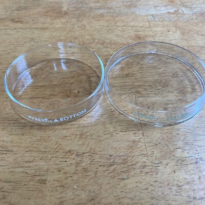 Lab Glassware - Pyrex Petri Dishes