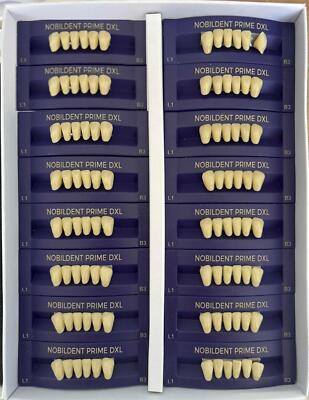 Prime Dental Resin False Denture Teeth Anterior Posterior Shade C1 C2 ...