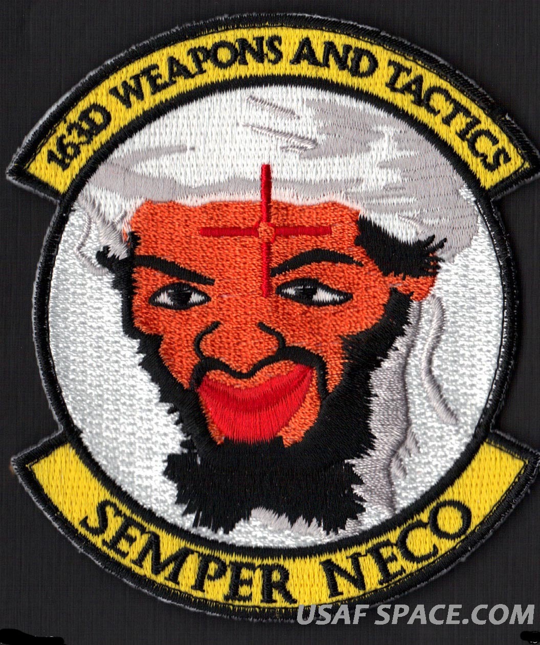 USAF 163D WEAPONS & TACTICS MQ-9 REAPER UAV ATTACK DRONE OSAMA HUNTER ...