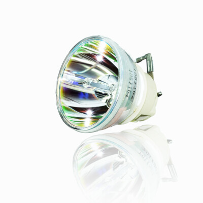 BL-FU245A Original Lamp Bulb for OPTOMA W412,EH205ST,EH412ST,GT1080HDR ...