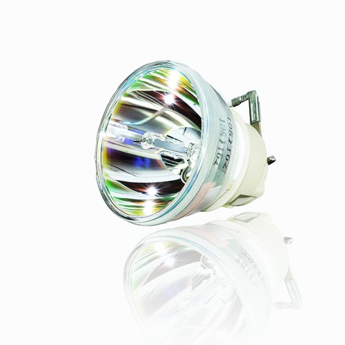 BL-FU245A Original Lamp Bulb for OPTOMA W412,EH205ST,EH412ST,GT1080HDR ...