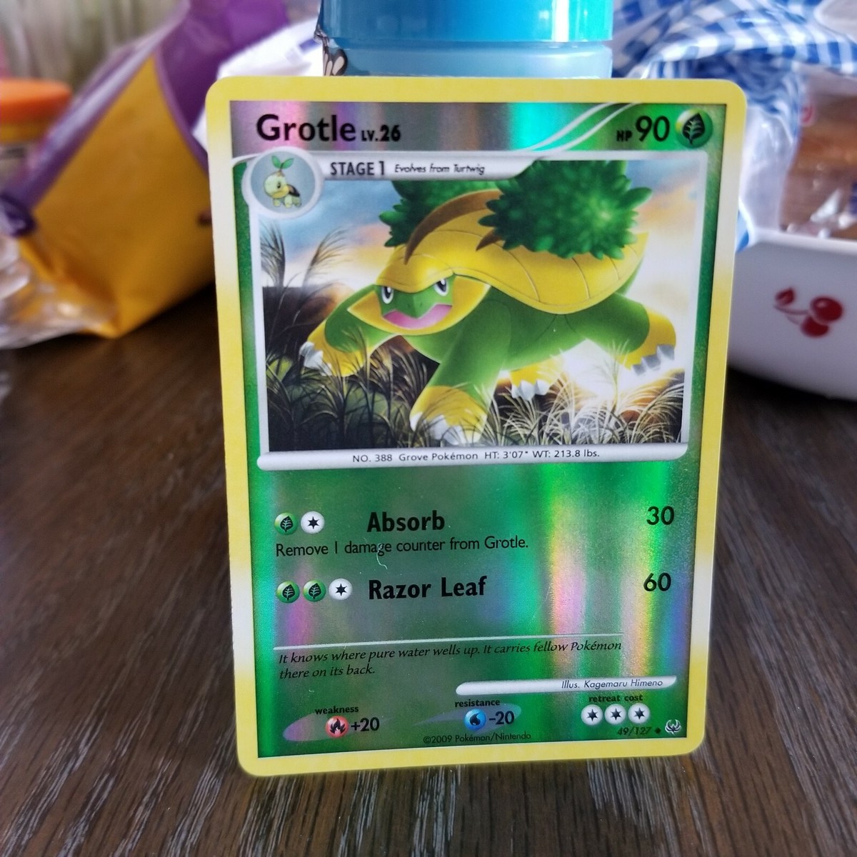 Cartao Pokemon Grotle