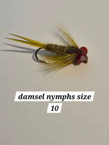 4 Damsel Nymphs Fly Fishing Wet Trout Flies Size 10 | eBay UK