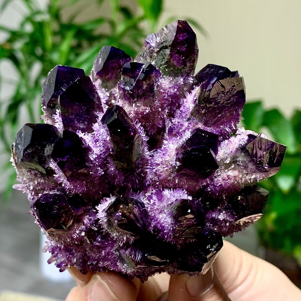364G Newly discovered purple phantom crystal quartz cluster mineral ...