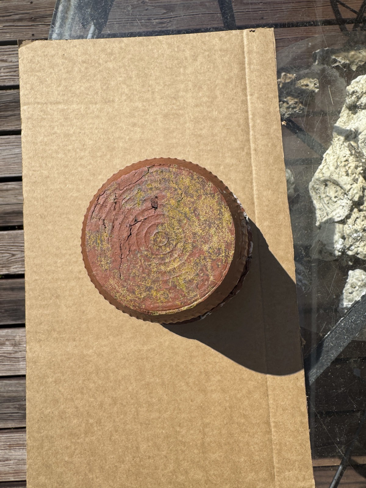 1903 Turpentine HERTY CUP, clay pot from Alachua County Florida, Rare ...