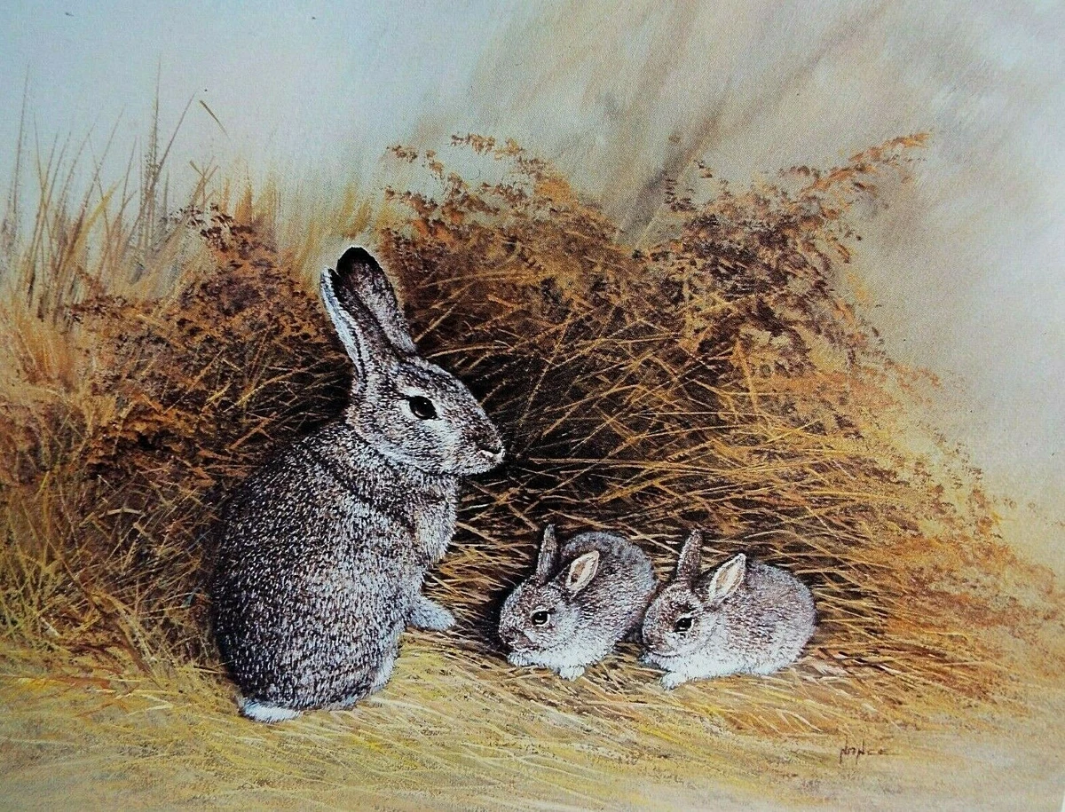 Famous Rabbit Painting