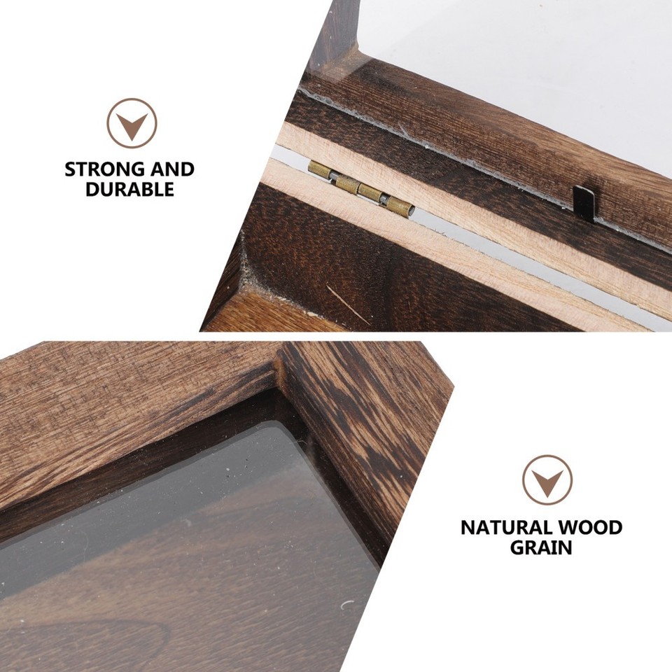 Wooden Display Case Plant Specimen Holder Insect Box Beetle Specimens ...