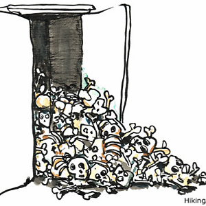 Bonz in the Attic | eBay Stores