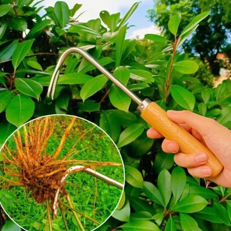 Weeding Hook for Stubborn Grass Garden Plant Weeder Loose Soil Tool | eBay