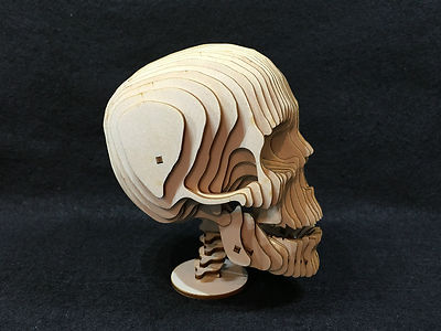 Laser Cut Wooden Skull 3D Model/Puzzle Kit | eBay UK