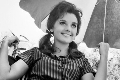 Dawn Wells as Mary Ann Classic TV Show Gilligan's Island Photo 4x6 | eBay