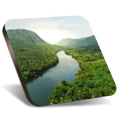 1x Square Coaster 12cm Tropical Green Forest River Nature #53502 | eBay