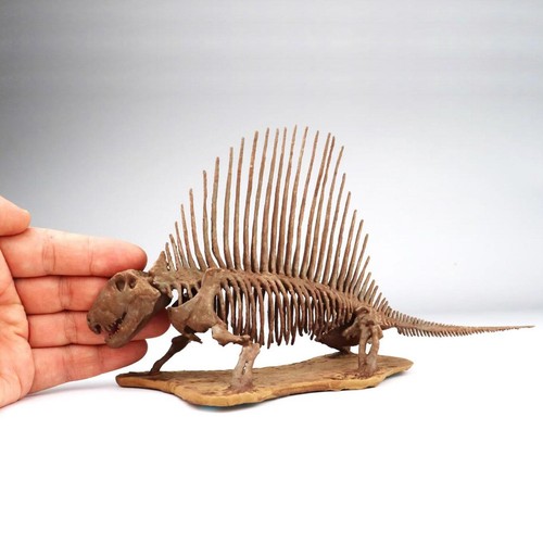 Dimetrodon Dinosaur Skeleton Model Statue 3D Printed Model Collectible ...