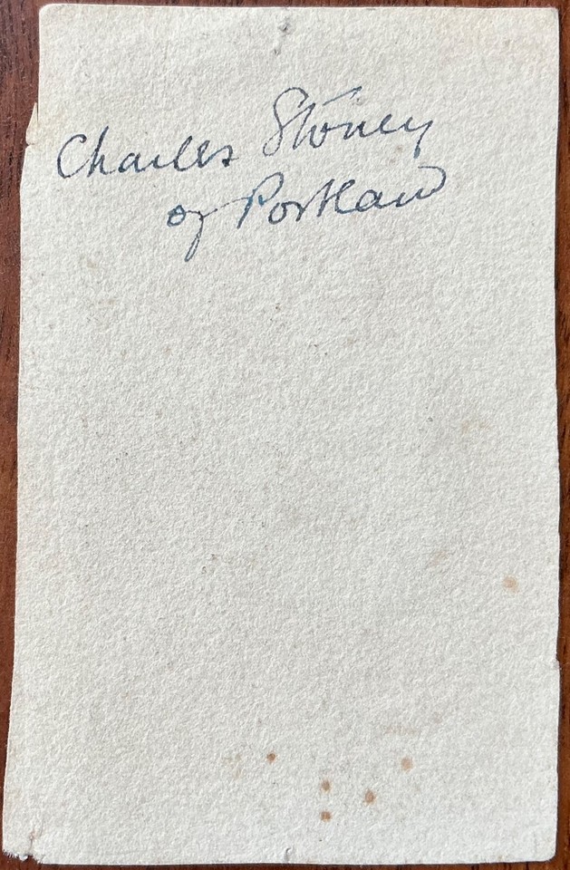 SMALL VICTORIAN WATERCOLOUR PORTRAIT OF WALTER CHARLES BUTLER-STONEY ...