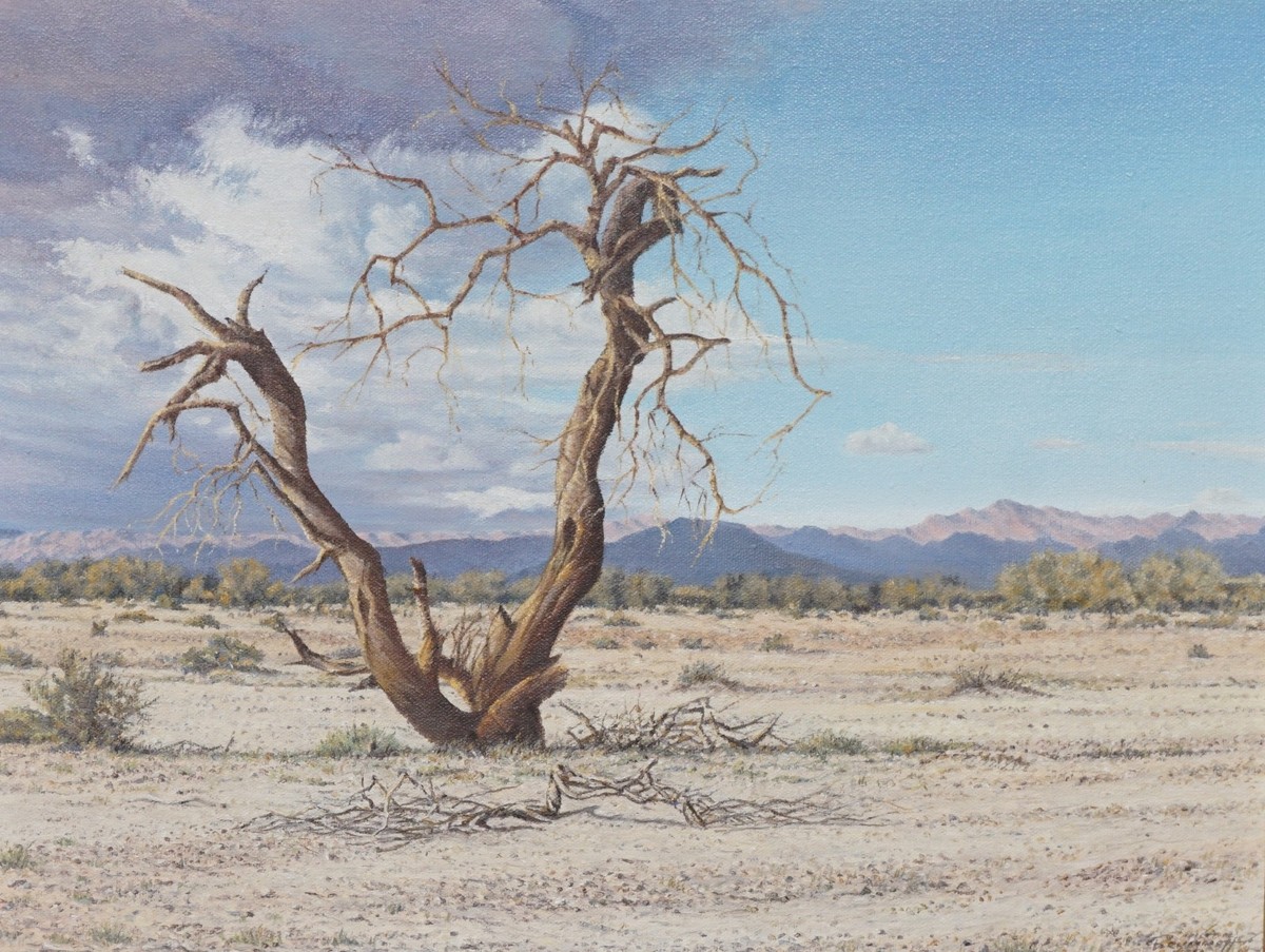 Barren Desert Tree