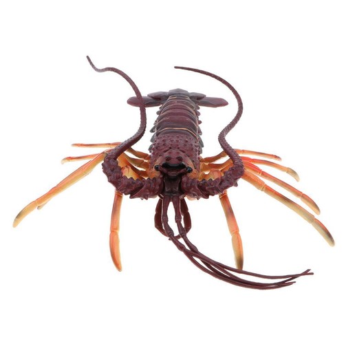Spiny Lobster Ocean Animal Model Figure Kids Educational Toy Gift Home ...