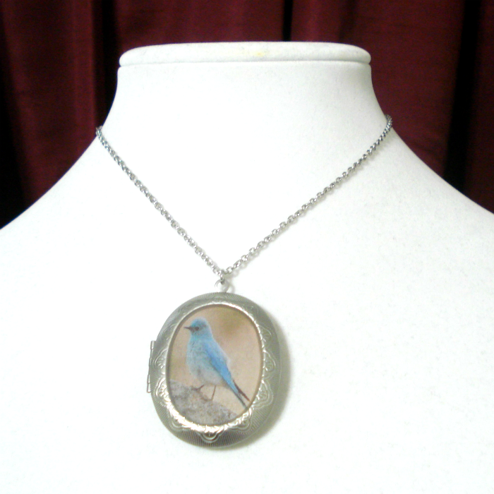 Bluebird Locket Pendant Necklace Jewelry Stainless Steel LAST ONE! | eBay