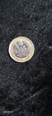 One pound Coin - 2017 rare edition. Extremely rare 1 pound coin. | eBay UK