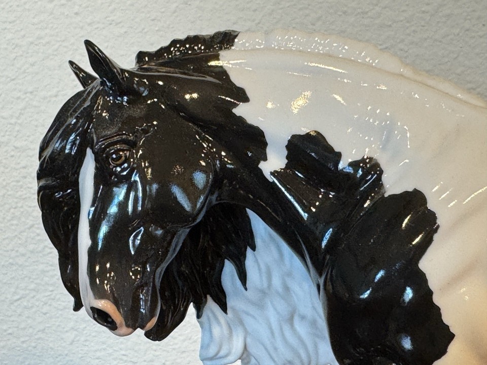 Peter Stone Irish Cob "Superstition" Glossy Black and White Pinto | eBay